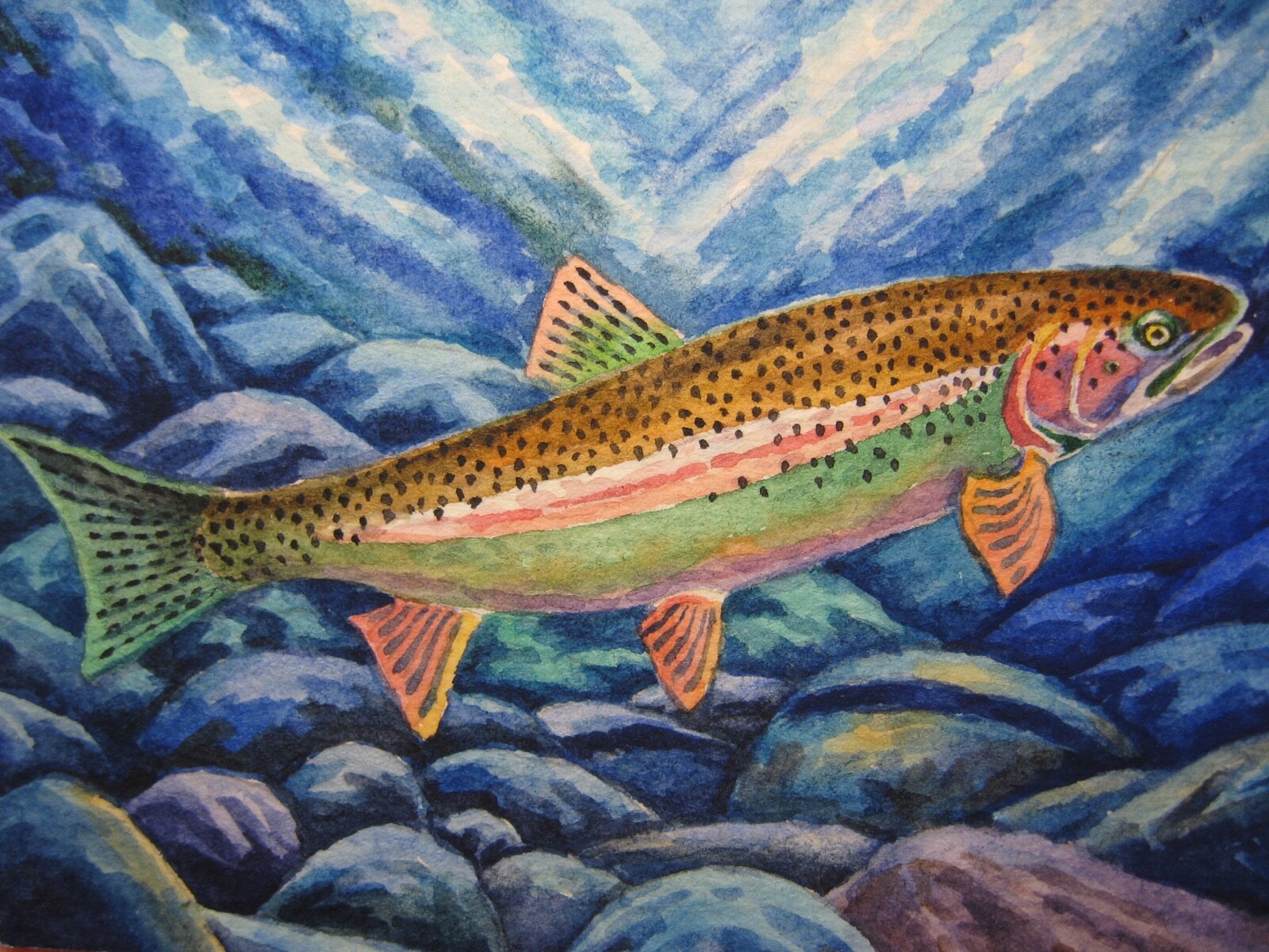 Freshwater Fish Watercolor