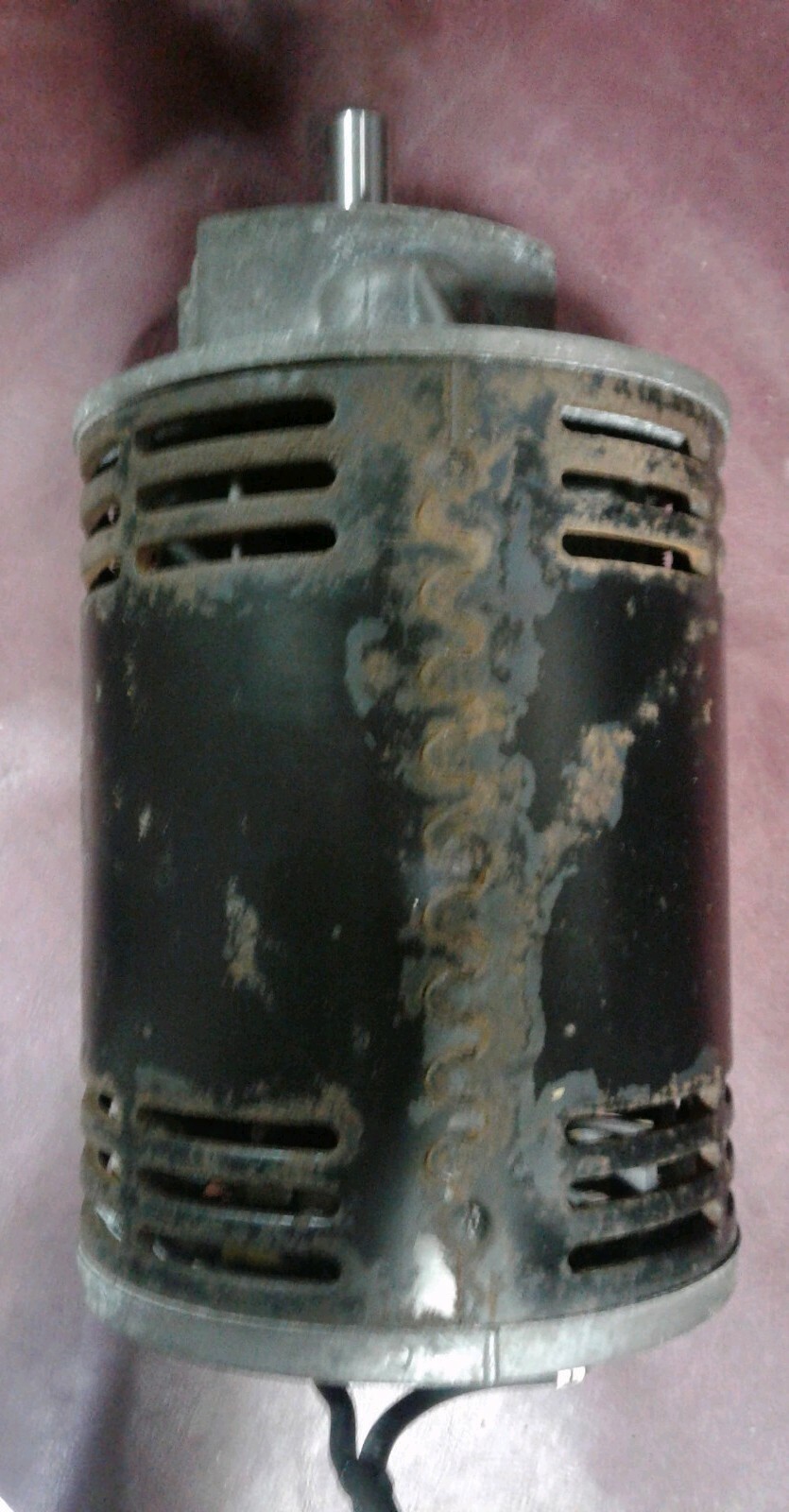 TOMCAT MINI MAG 3/4 HP 24 Volt 270 RPM MOTOR. P/N 21-2500. Our #1. | eBay