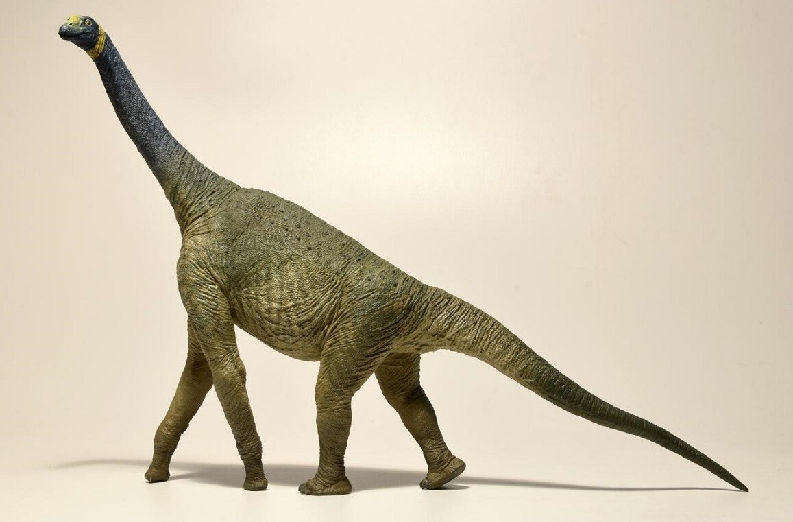 Atlasaurus (Brachiosaurus Kin) Sauropod Dinosaur Eofauna Model | eBay