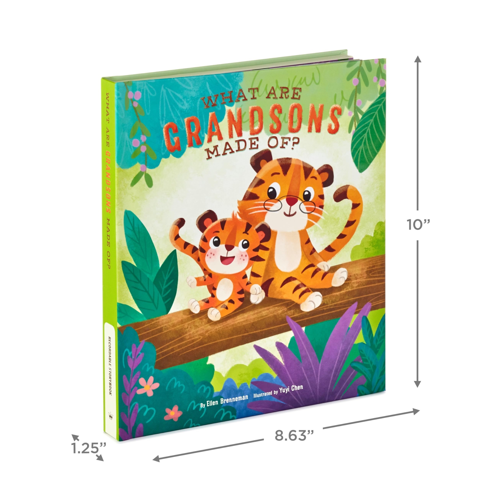 Hallmark Recordable Book for Children (What are Grandsons Made of?) | eBay