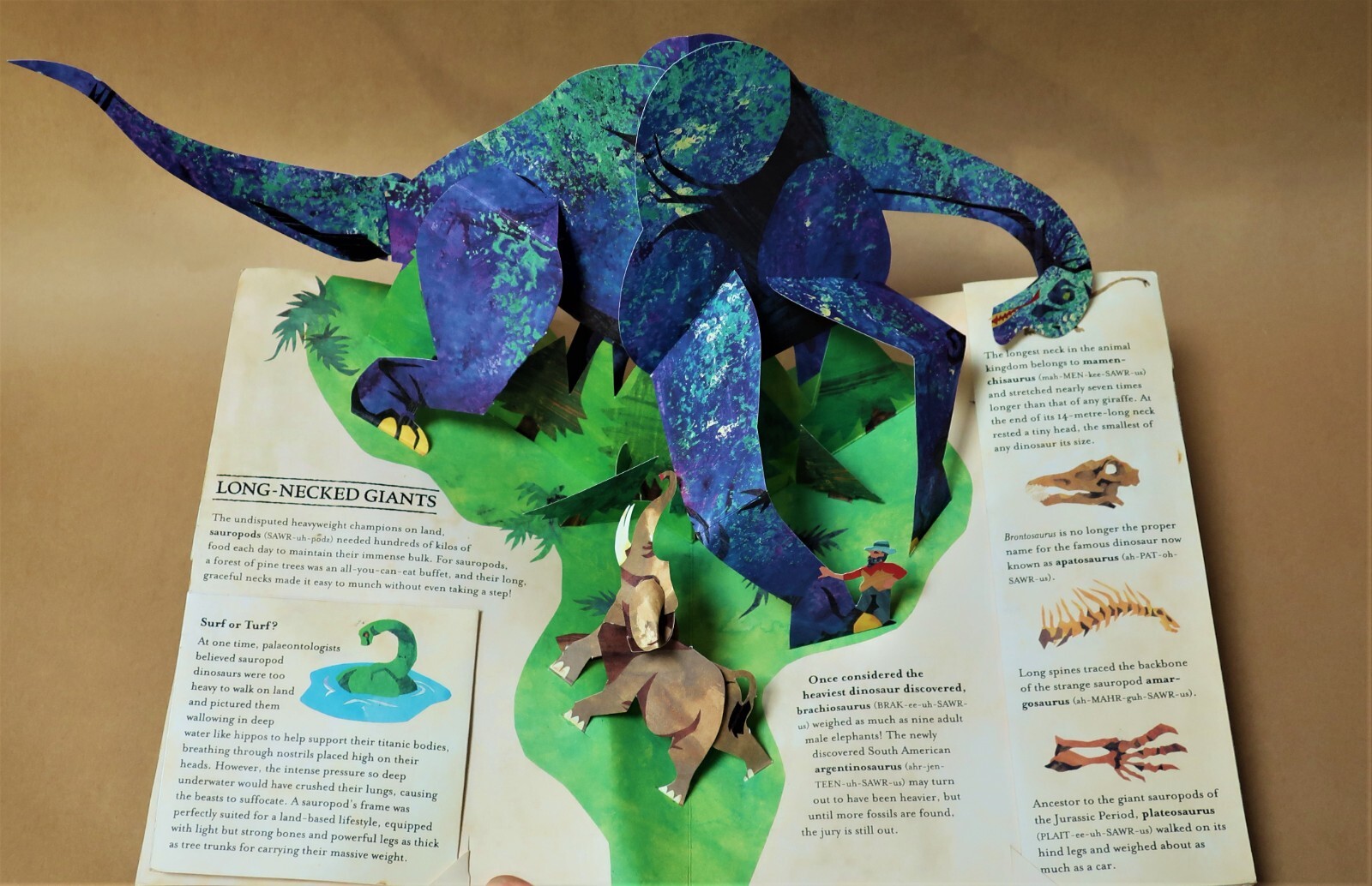 Encyclopedia Prehistorica Dinosaurs: The Definitive Pop-Up by Robert ...