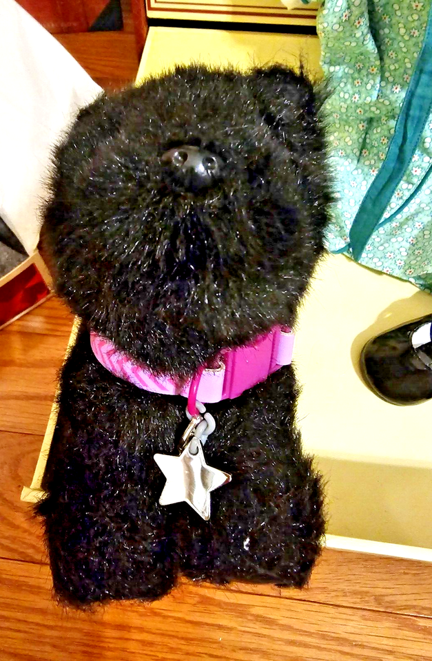 American Girl Kit’s Trunk w Outfits * Mini Kit & Ruthie* Scottie* Books ...