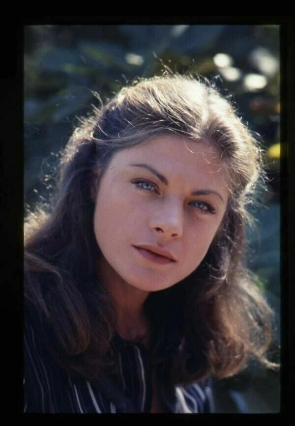 Meg Foster Young