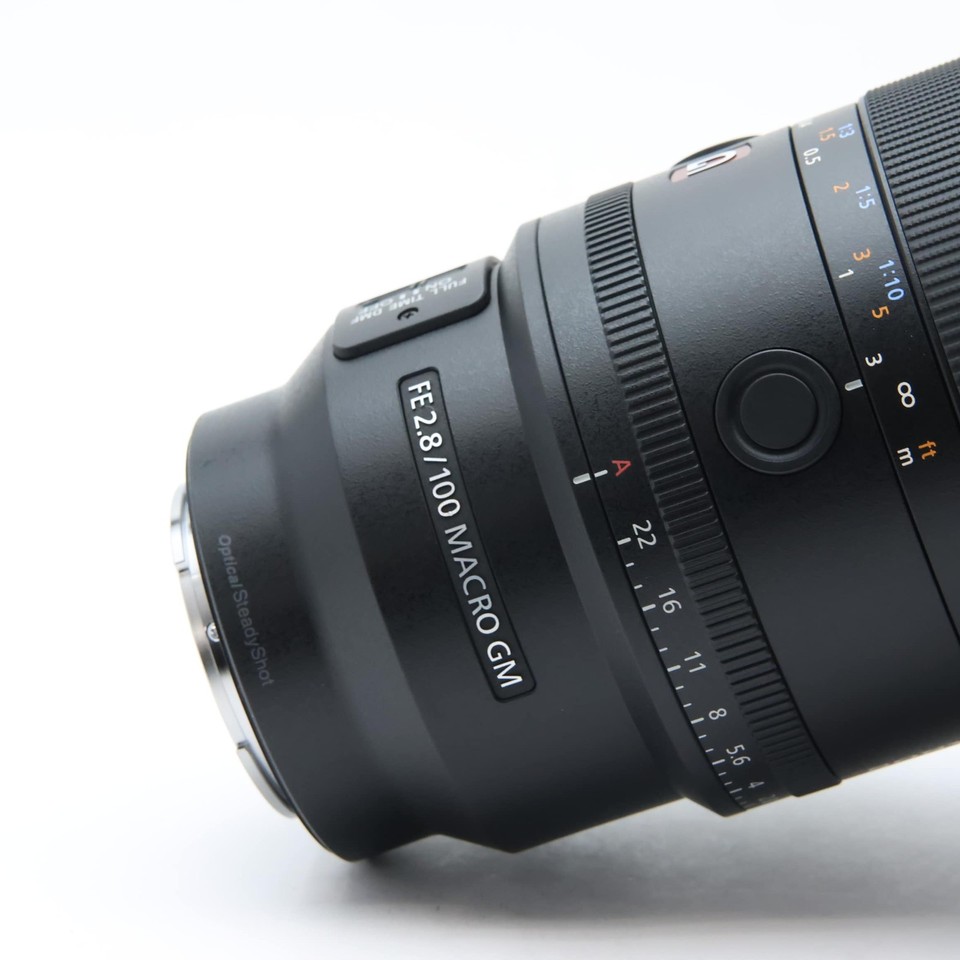 SONY FE 100mm F2.8 Macro GM OSS SEL100M28GM (Sony E mount) #276 -Near ...