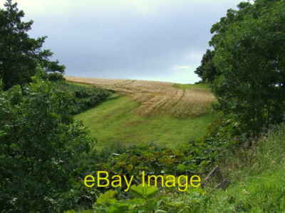 Photo 6x4 Field Craigmill Den, Panbride Carnoustie c2007 | eBay UK