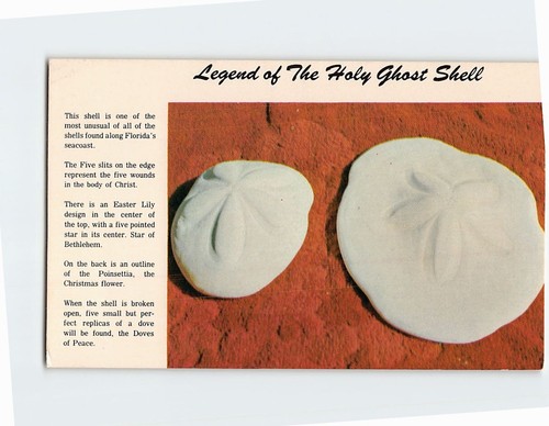 Postcard Legend of The Holy Ghost Shell, Florida | eBay