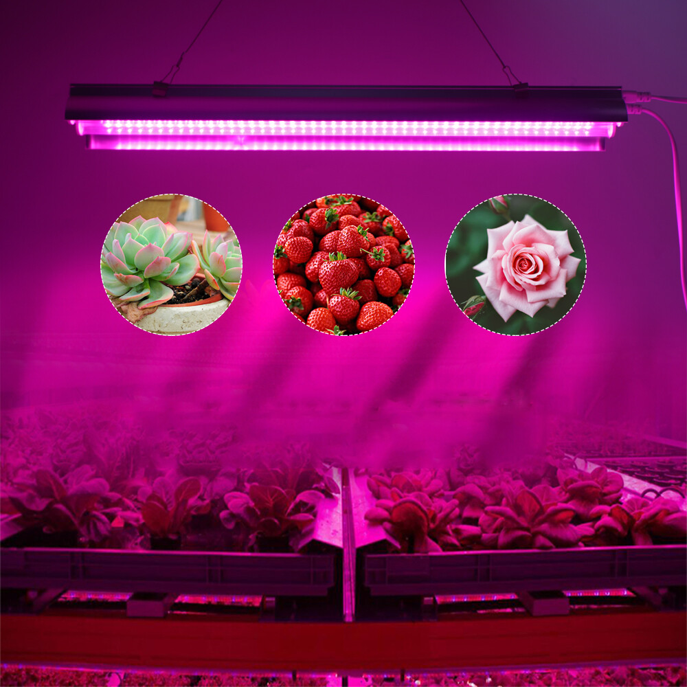 2X 3000W LED growing lights full spectrum vegetable lights indoor ...