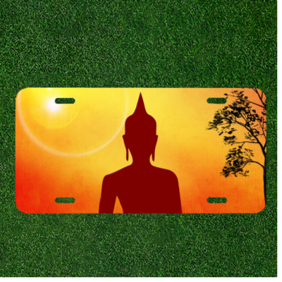 Vanity License Plates For Front Of Car Blue Ice Cube Background License ...