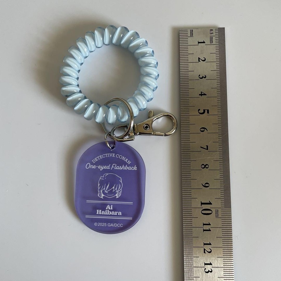 Detective Conan Ai Haibara Acrylic Locker Keychain Collector's Item | eBay