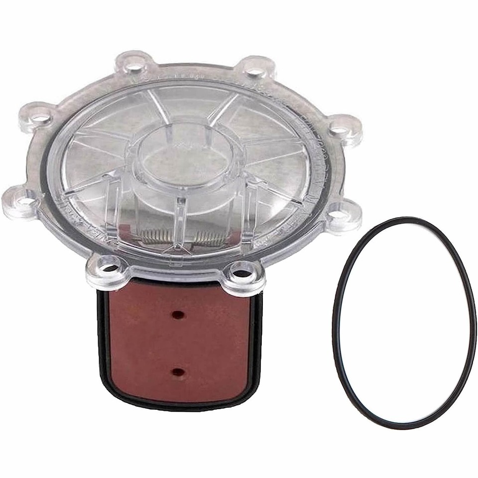 7056 Replacement Check Valve Cover Spring with Flapper Assembly Kit (2 ...