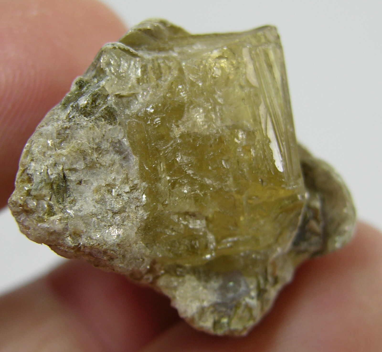 63.40ct Pakistan Terminated Heliodor Crystal in Mica Matrix Specimen 12 ...