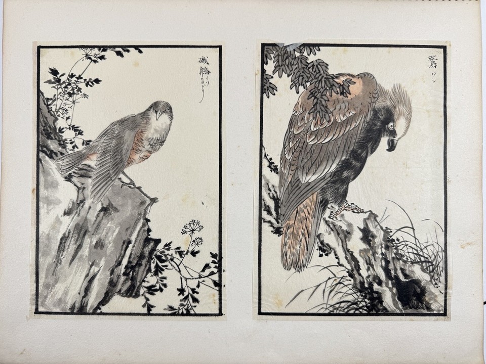 Japanese Drawing Book “Kachoshu” Picture of birds and flowers 49 ...