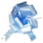 Time to Sparkle Wedding Car Decor Kit 7 Metres of Ribbon & 1 3 5 Large ...