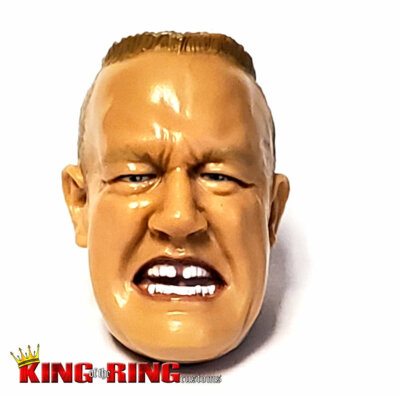 WWE Jakks FIT FINLAY Wrestling Figure HEAD Custom Fodder DA WCW Ireland ...