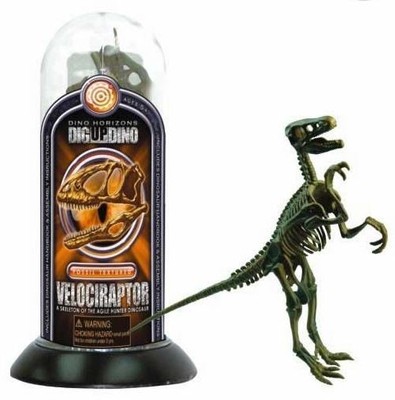 3D Velociraptor Fossil Textured Model Assembly Realistic Skeleton ...