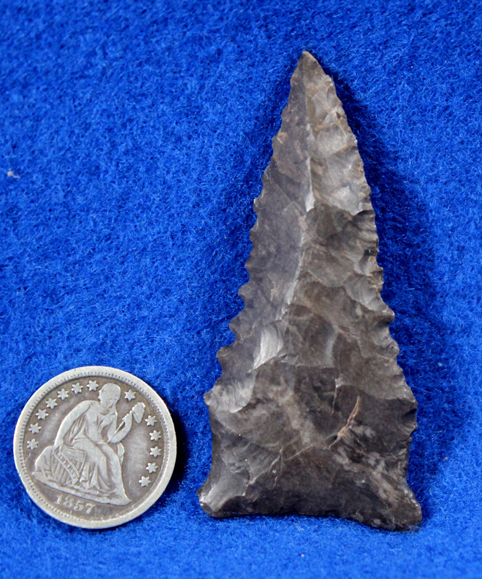Dalton Classic Point COA Authentic Prehistoric Arrowhead Artifact ...