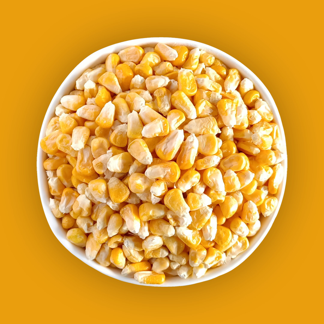 Dried Corn Kernel