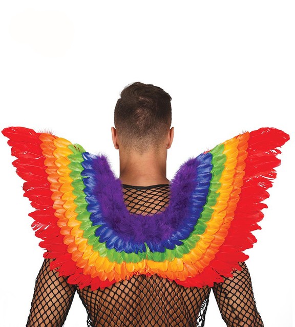 Rainbow Feather Wings Mens Ladies Fancy Dress Gay Pride Costume 80x50 ...