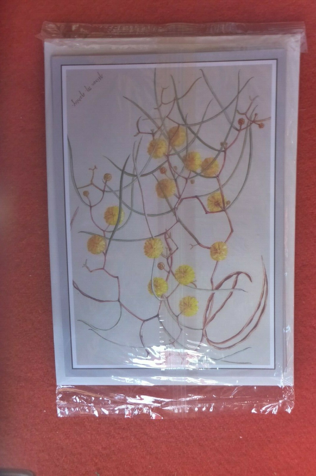 SET OF AUSTRALIAN WILD FLOWER CARDS ADELAIDE BOTANIC GARDENS ALISON ...