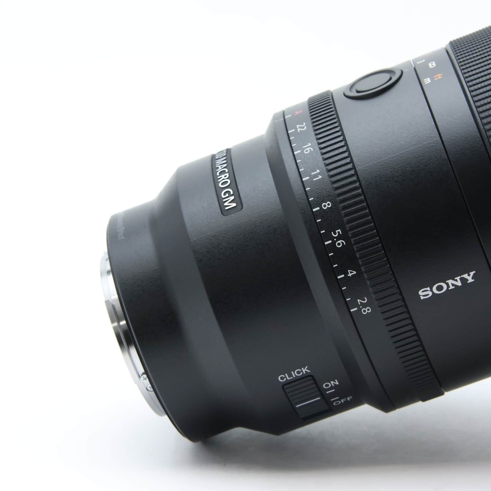 SONY FE 100mm F2.8 Macro GM OSS SEL100M28GM (Sony E mount) #276 -Near ...