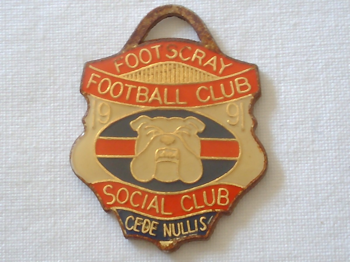 Footscray Bulldogs Logo Western Bulldogs Mens 2025 Abstract Logo Tee