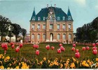 92 - Rueil-Malmaison - L'Hôtel de Ville - Fleurs - Tulipes - CPM - Voir ...