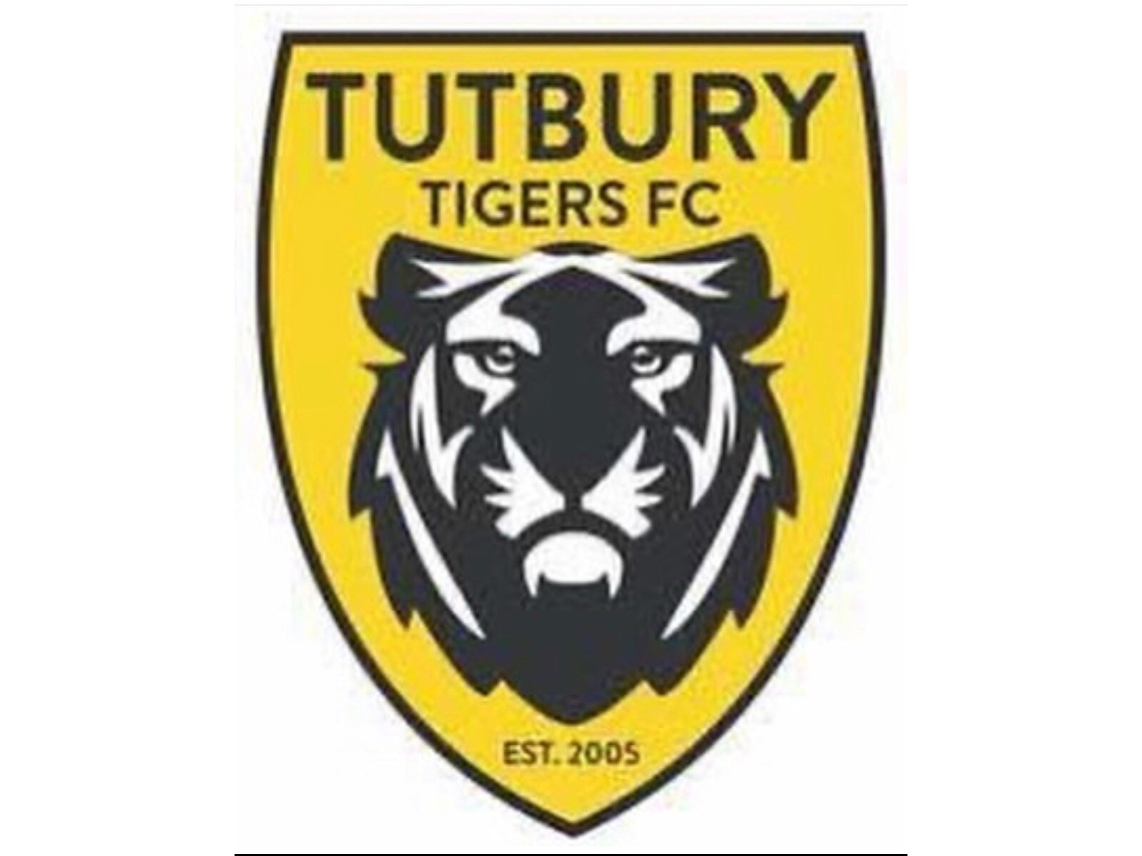 Tutbury Tigers FC Non-League football pin badge | eBay UK