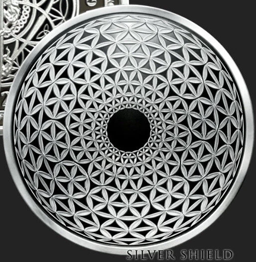 Flower Of Life Torus | Best Flower Site