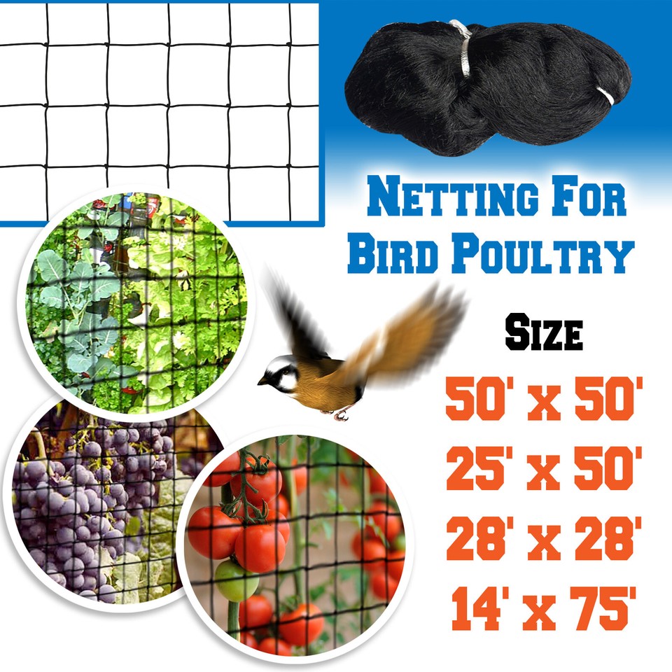 Multi-size Anti Bird Netting Bird Barrier Poultry Aviary Net Pens 2 ...