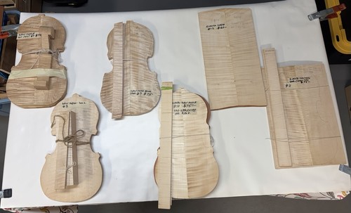 Violin Backs With Assorted And Varying Parts X6 | eBay