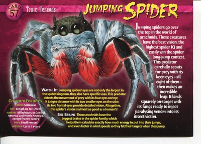 Weird N’ Wild Creatures Toxic Terrors Card 57 # Jumping Spider # LC3 | eBay