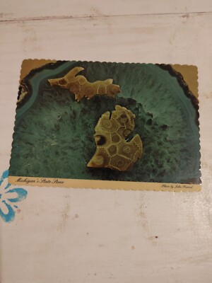 Vintage Petoskey Stone, State Stone of Michigan Postcard | eBay