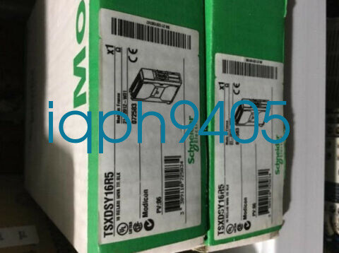 TSXDSY16R5 1 PCS new Schneider PLC | eBay