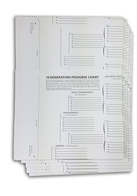 5 Genealogical Charts And Forms Dummies