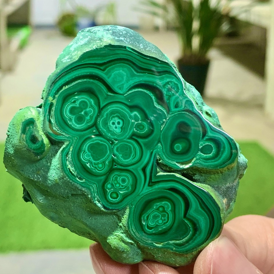 145G Natural glossy Malachite transparent cluster rough mineral sample ...
