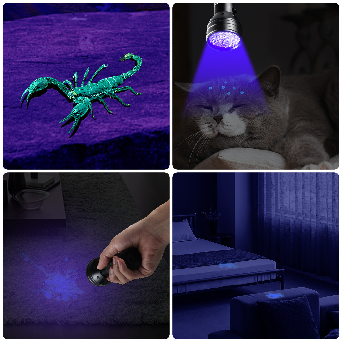 Purple Light UV Ultraviolet Flashlight Light 51 LED BlackLight 395nM ...