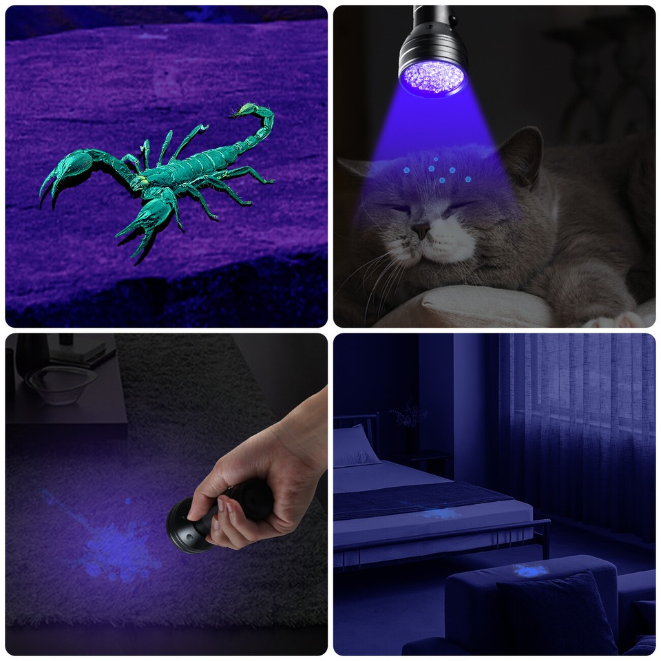 Purple Light UV Ultraviolet Flashlight Light 51 LED BlackLight 395nM ...