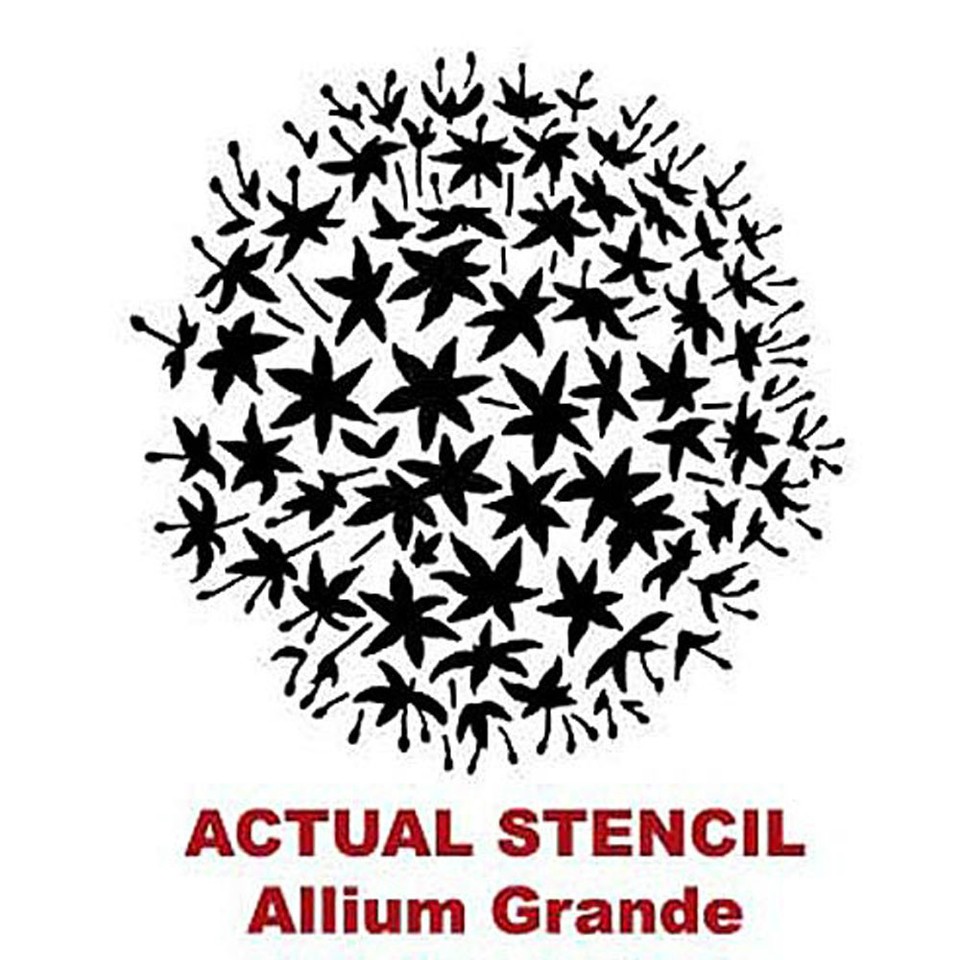 Allium Grande Wall Art Stencil - Floral Wall Stencils for DIY Home ...