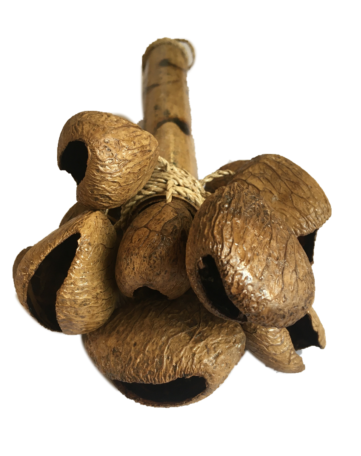 Seed Pod Shaker Novelty Instrument Children's Toy Present Wooden Fair ...