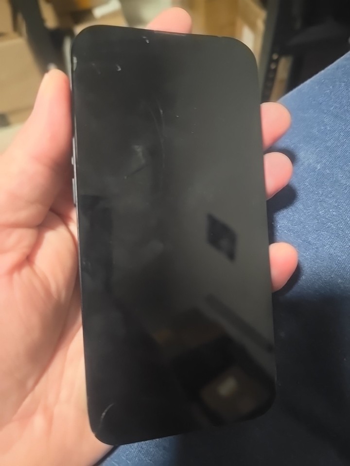 Genuine Apple Iphone 13 Screen Oled .read Description | eBay