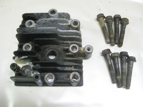 Briggs and Stratton 10T802-1253-B1 Head Cylinder part 790169, 211479 ...