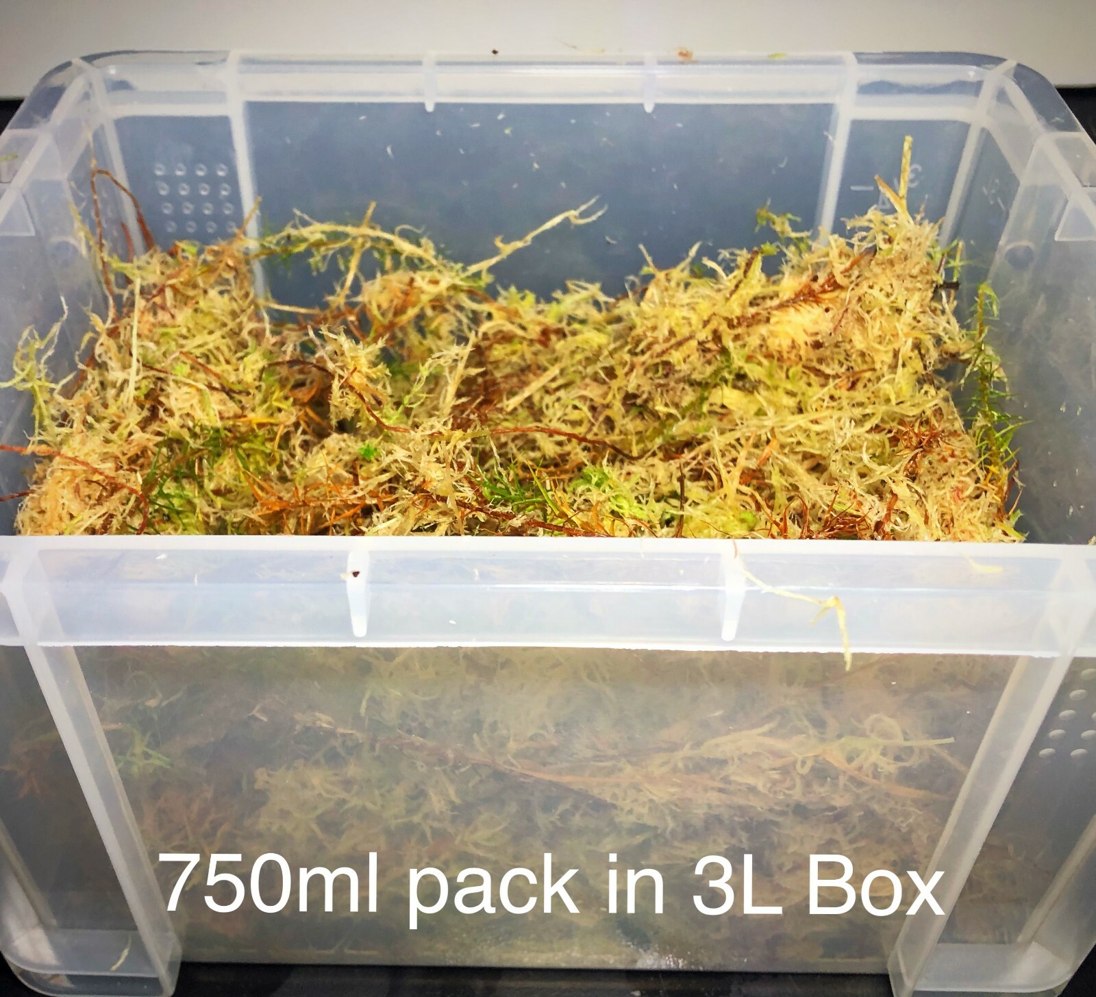Sphagnum Moss, 100% Natural &Hand Picked, Snails, Frogs, Hanging ...