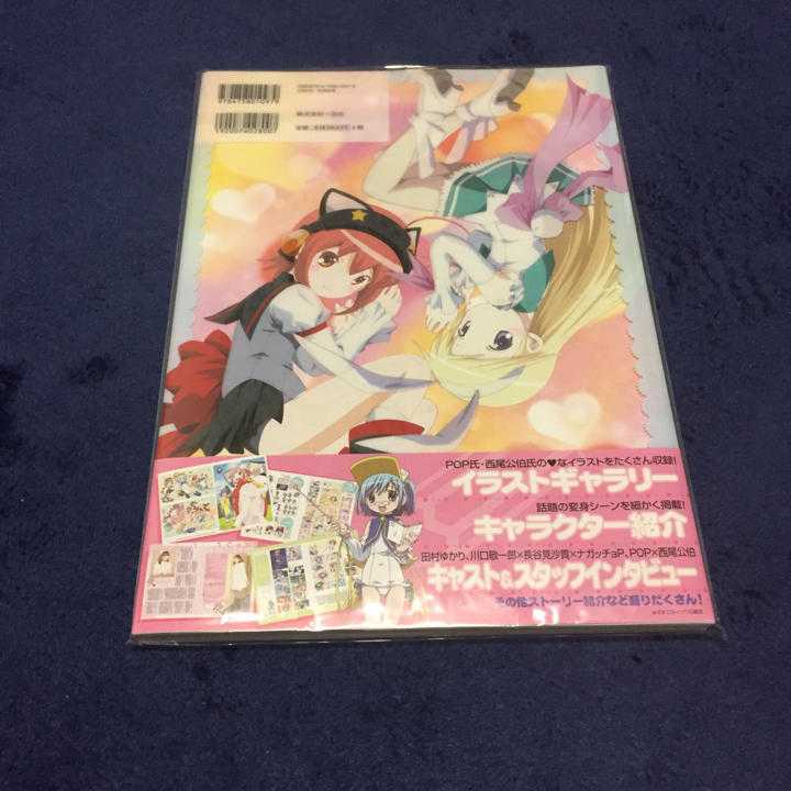 Moetan Visual Fanbook W / Poster Pop Art Works Illustration Book Moetan ...