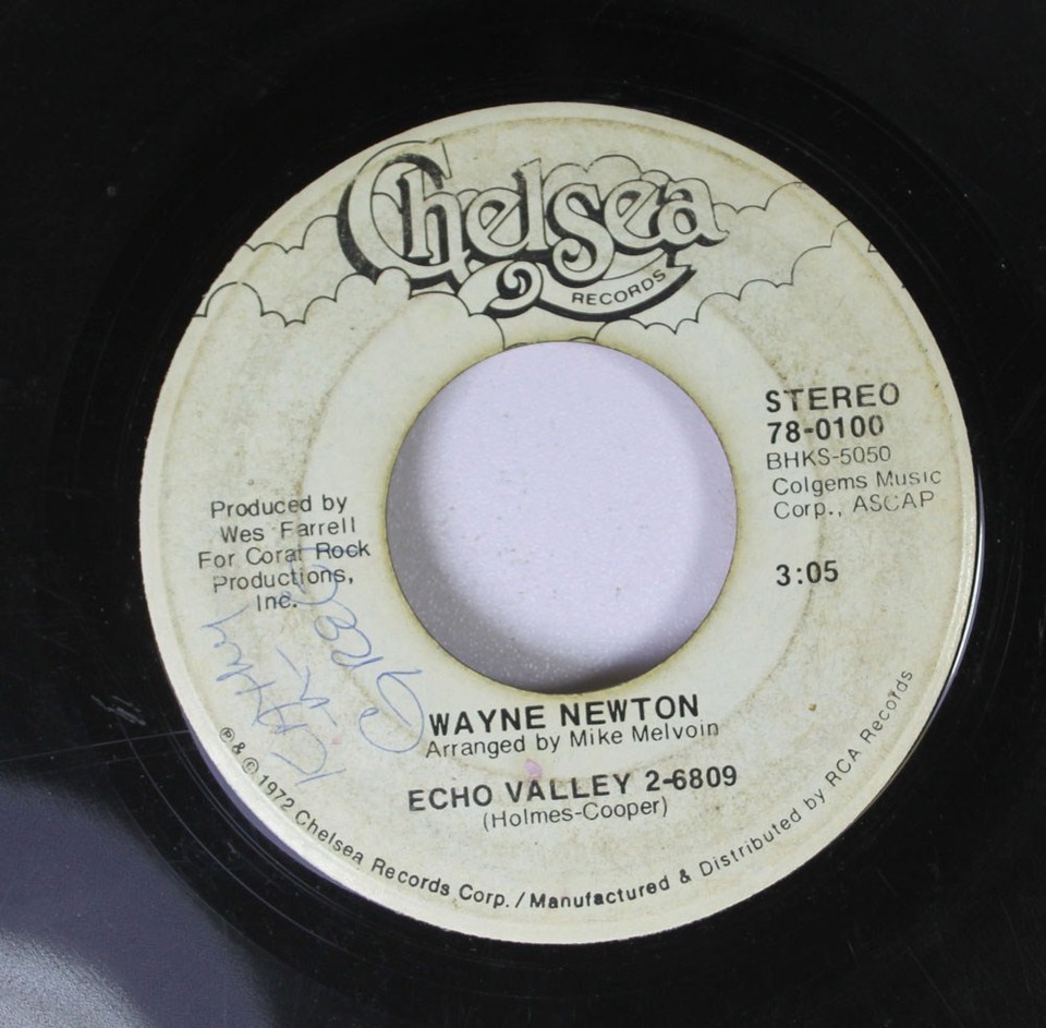 Pop Promo 45 Wanye Newton - Daddy Don'T You Walk So Fast / Echo Valley ...