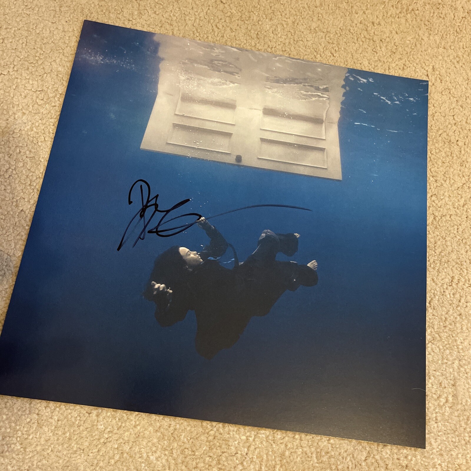 HIT ME HARD AND SOFT Exclusive Signed INSERT | Grelly USA