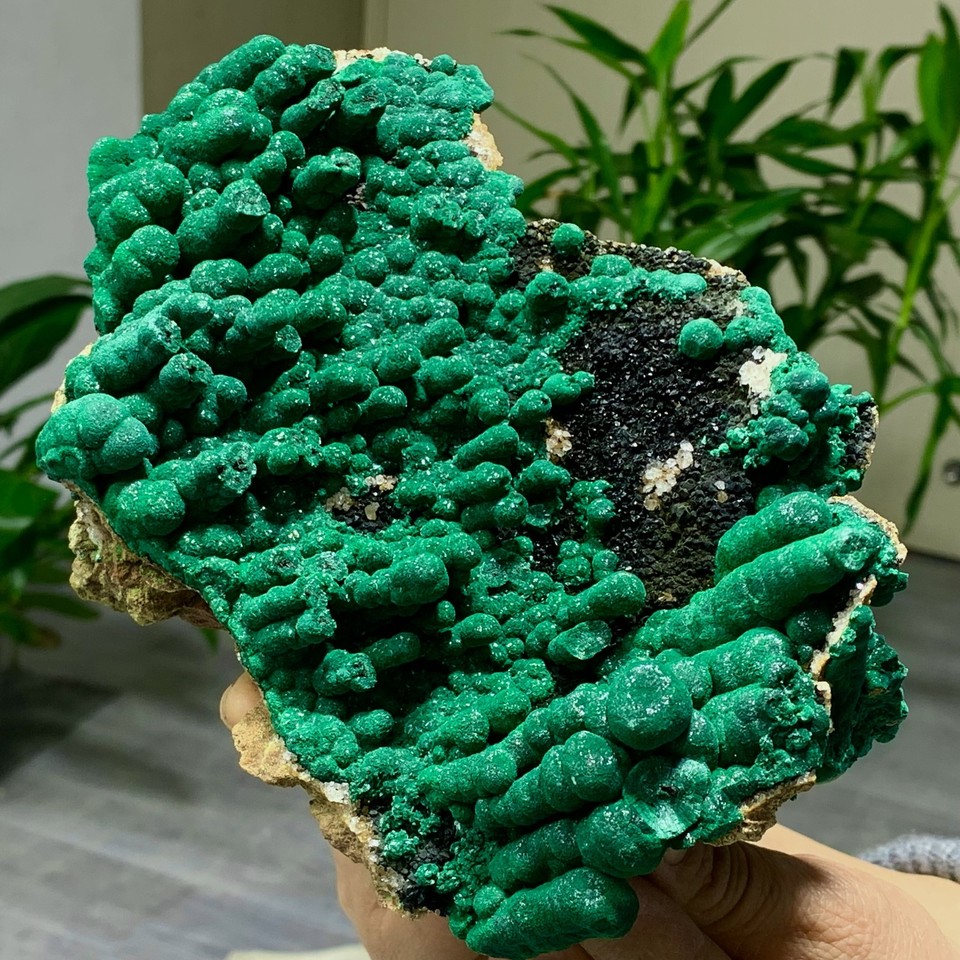 2.34LB Natural Malachite rysocolla transparent cluster rough mineral ...