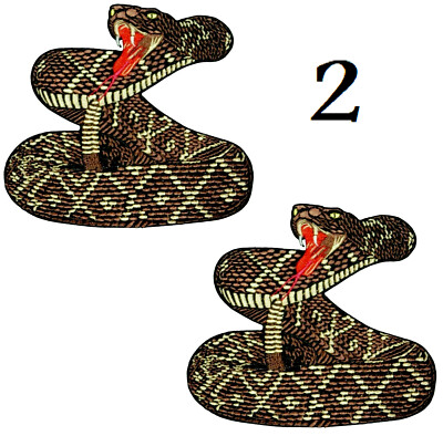 Striking Rattlesnake Drawings