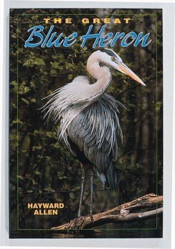 The Great Blue Heron by Allen, Hayward 9781559710947| eBay