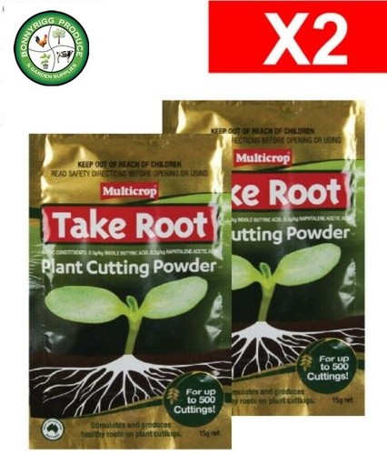 Multicrop Take Root 15g Plant Cuttings Set of 2 | eBay Australia