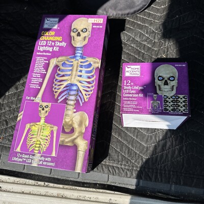 12 Ft Skeleton Skelly LED Home Accents Holiday Lighting Kit / Eye Kit 8 ...